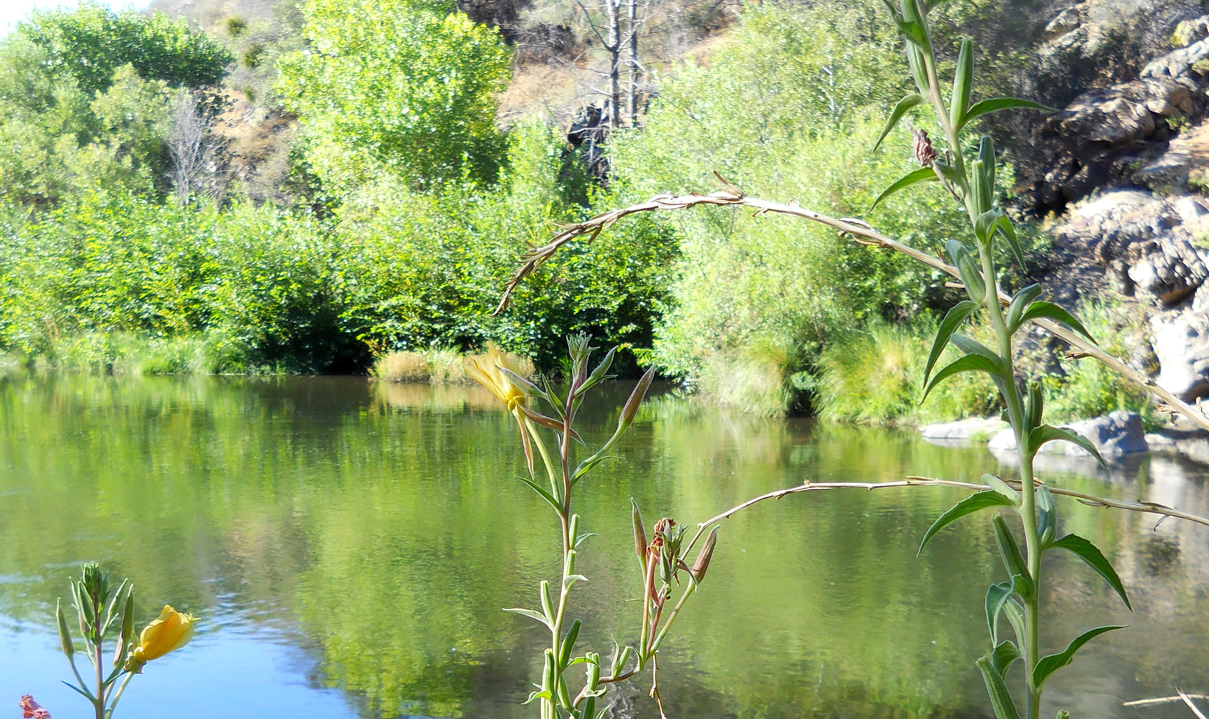 The Kern River Runs Through Me | 5,000 Miles of Wild - 5,000 Miles of Wild
