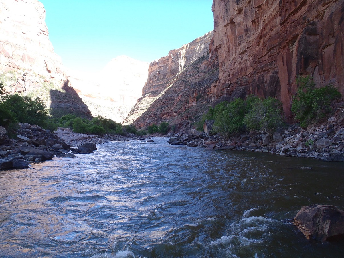 A Humbling View. | 5,000 Miles of Wild - 5,000 Miles of Wild
