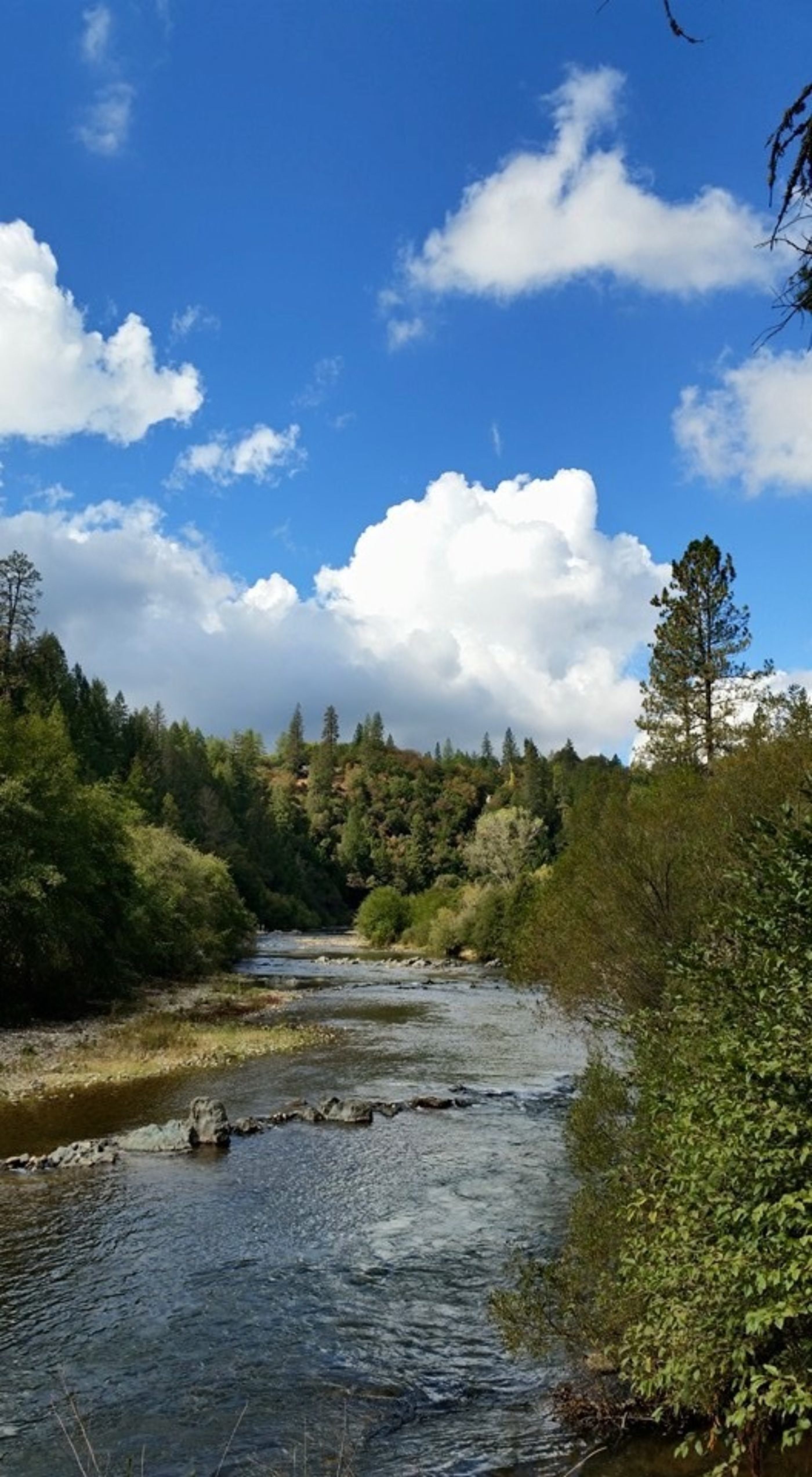 Bear River | 5,000 Miles of Wild - 5,000 Miles of Wild